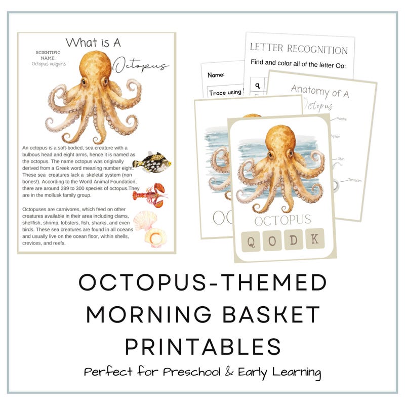 Octopus Theme - Etsy