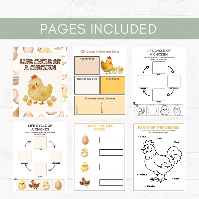 Chicken Life Cycle Printable Worksheets Farm Animal Science Unit Study ...