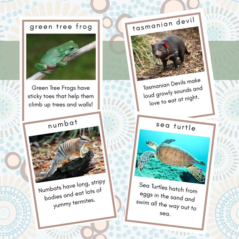 Australian Animals Fun Facts Cards Montessori Inspired Printable for ...