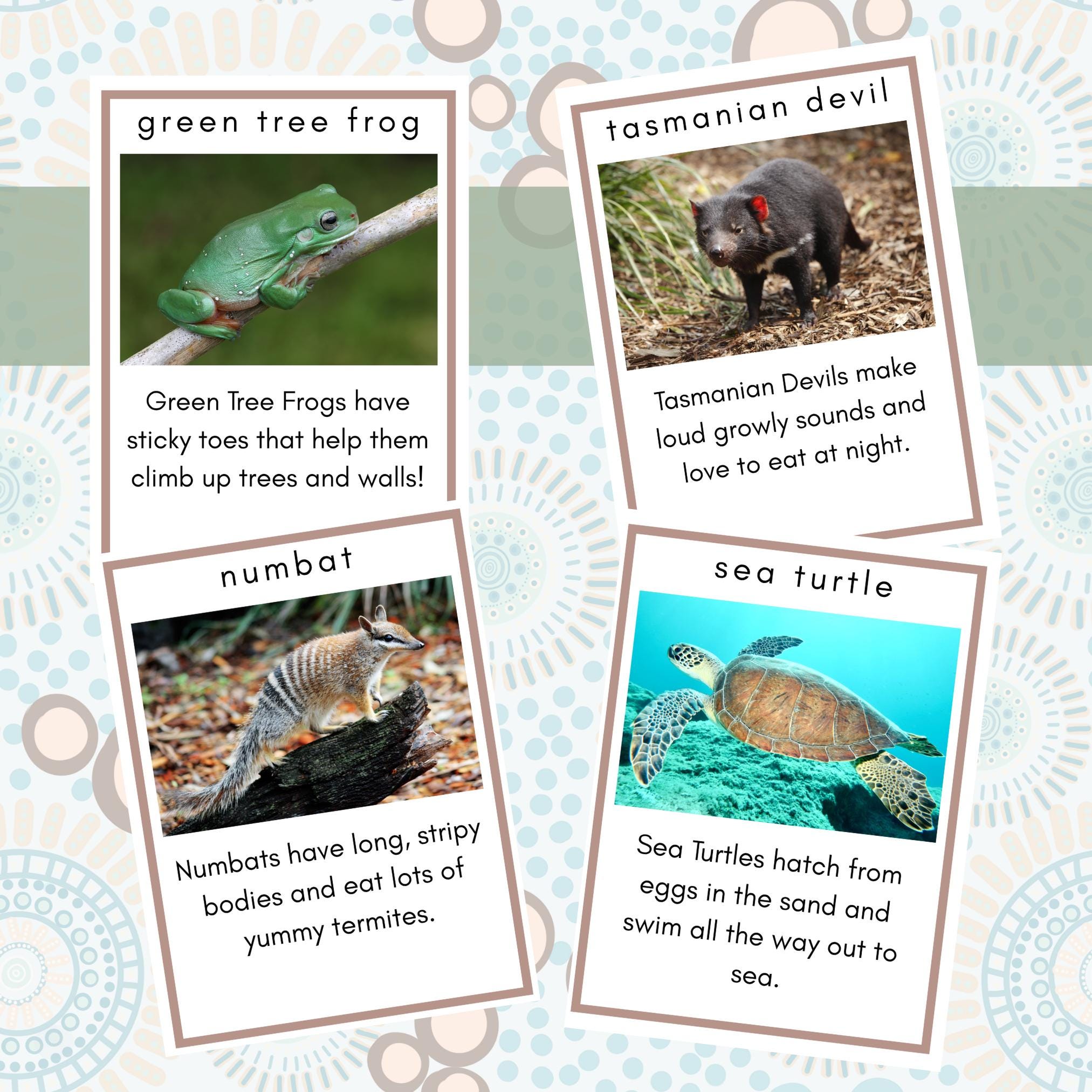 Australian Animals Fun Facts Cards Montessori Inspired Printable for ...