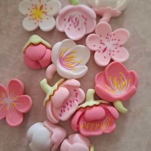 Flower Fridge Magnet. 12 Pcs, Cute Magnets, Flower Decor. Kitchen ...