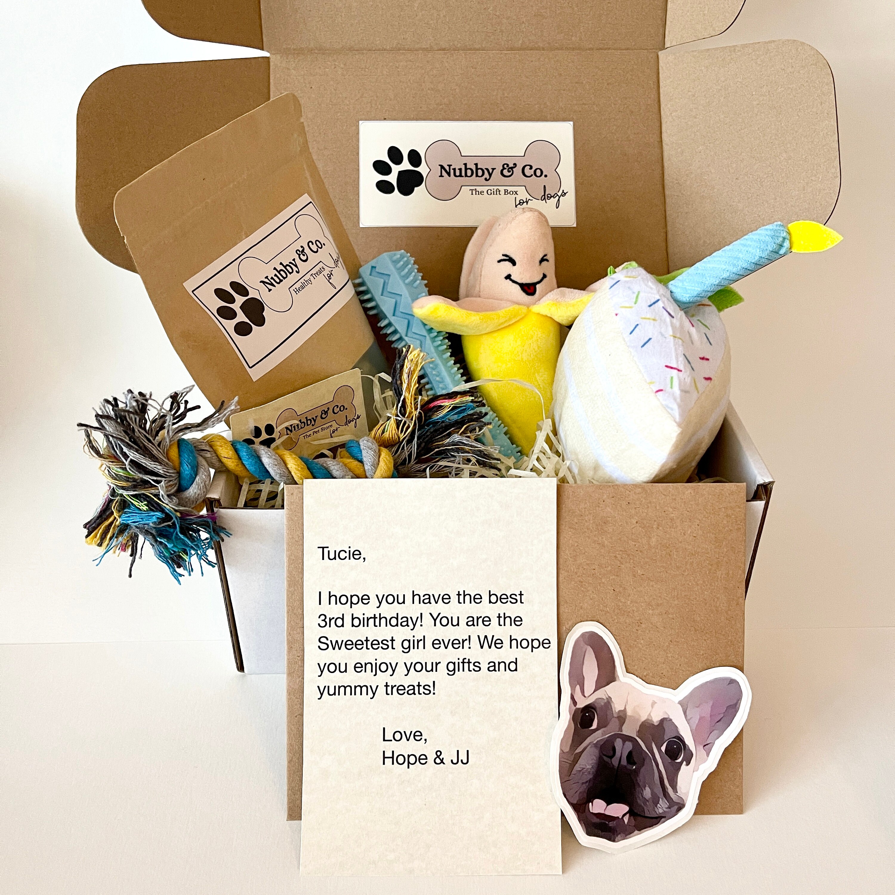 Doggy Bark Box Gift Box Toys and Treats Nubby & Co Pup Box Birthday ...
