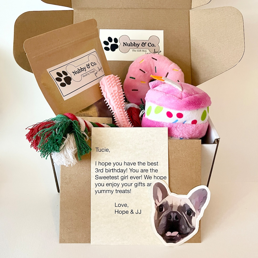 Doggy Bark Box Gift Box Toys and Treats Nubby & Co Pup Box Birthday ...