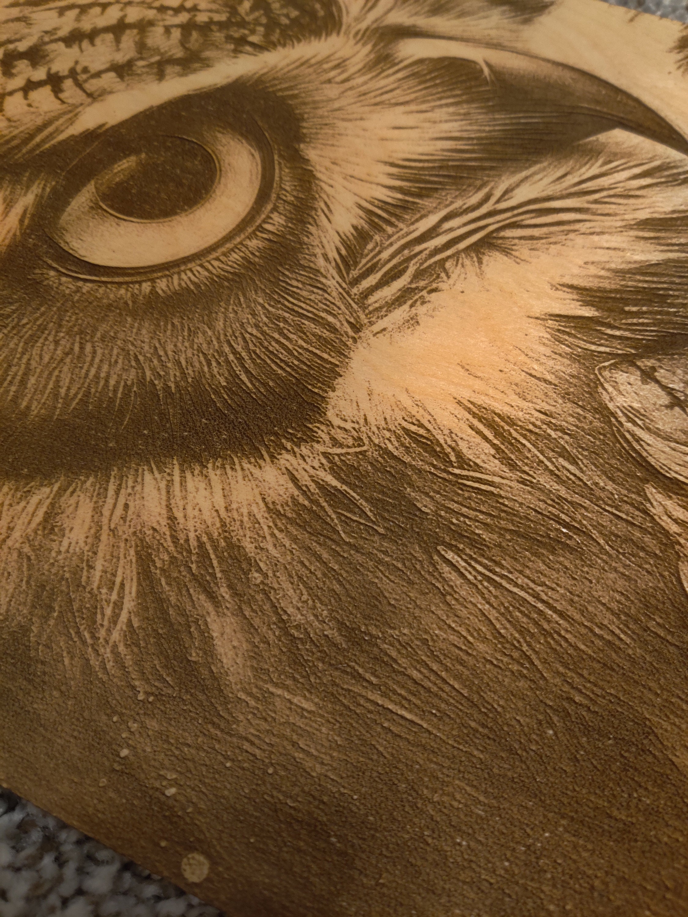 Realistic Owl Wood Art - Bird Art Engraving - Framed - Etsy