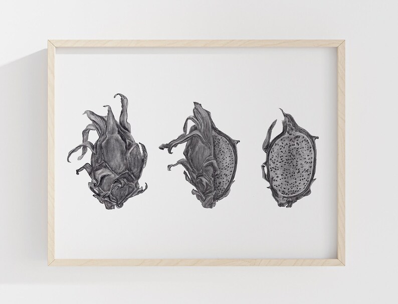 Pitaya Art, Dragon Fruit Graphite Drawing, Kitchen Fruit Wall Art, 8x10 ...