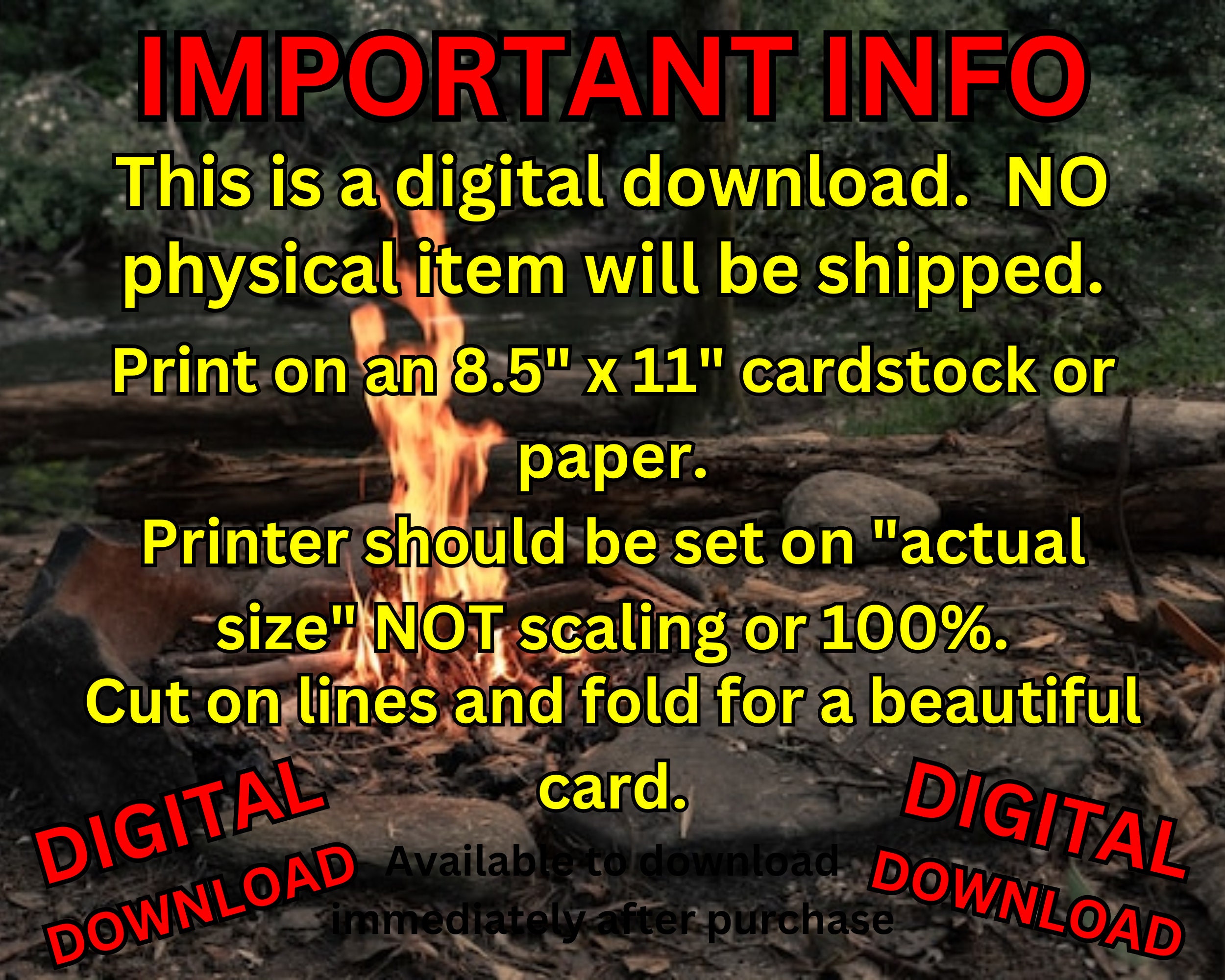 Highland Cow Coven Halloween Card With Jack-o-lanterns and Flowers ...