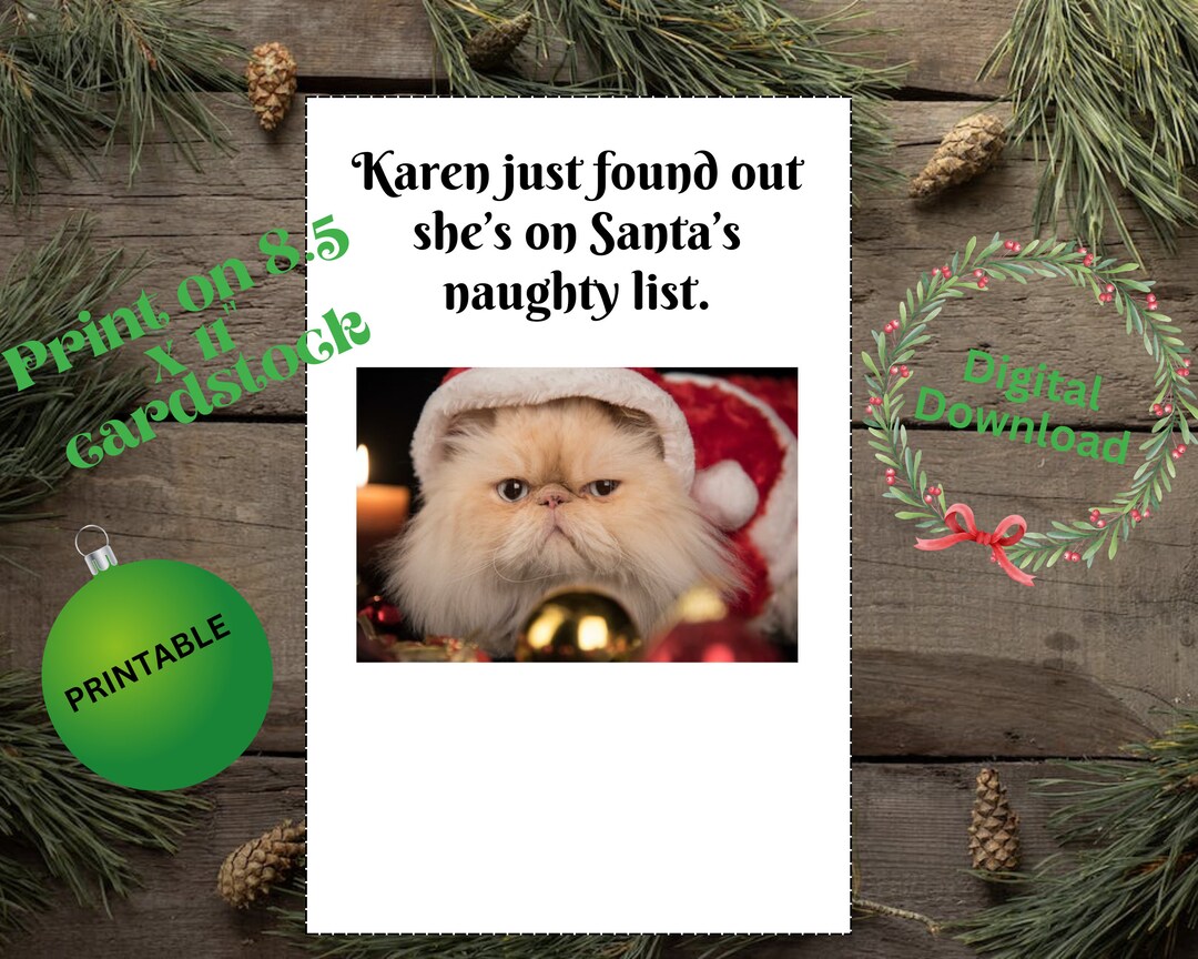 Grumpy Cat Naughty List Christmas Card, Don't Be a Karen Funny ...