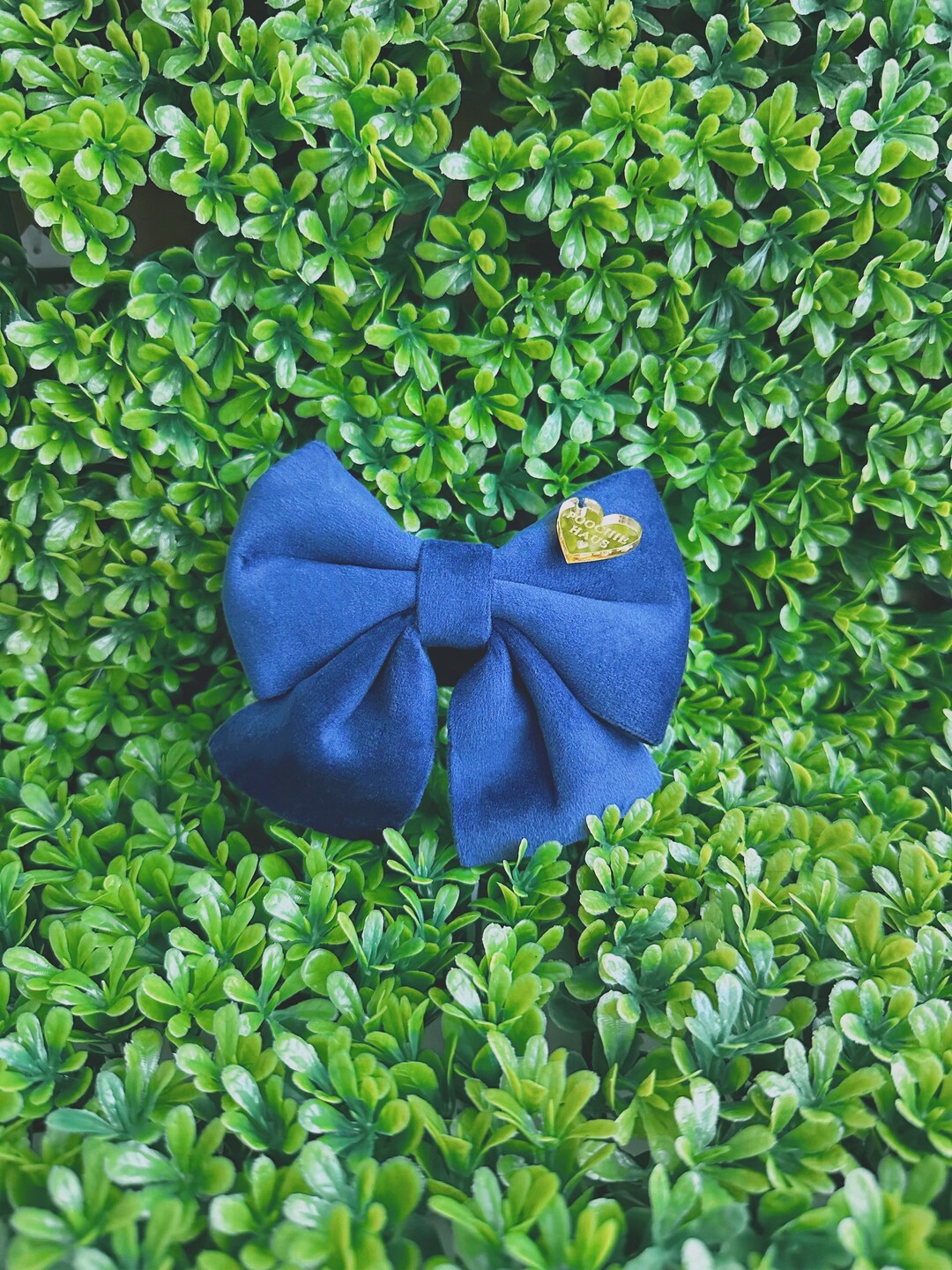 Meet Me at Midnight Royal Blue Velvet Sailor Bow for Dogs & Cats ...
