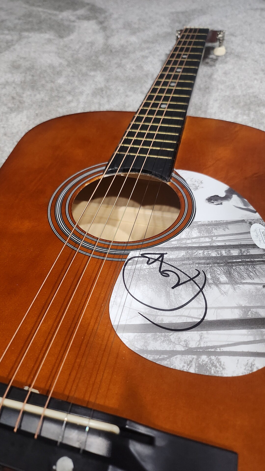 Taylor Swift Autographed Acoustic Guitar - Etsy
