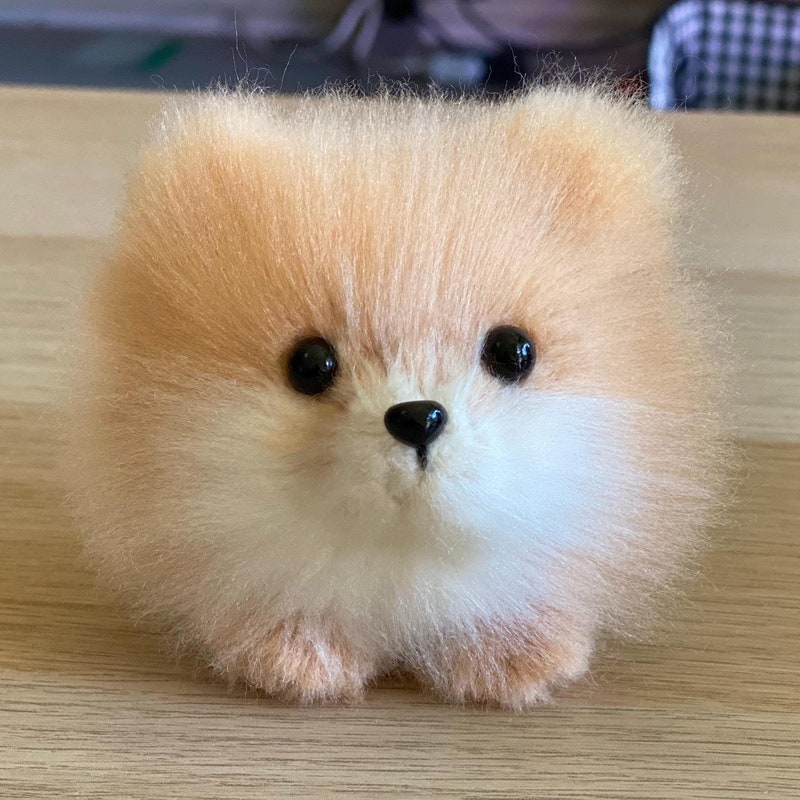 Pomeranian Plush - Etsy