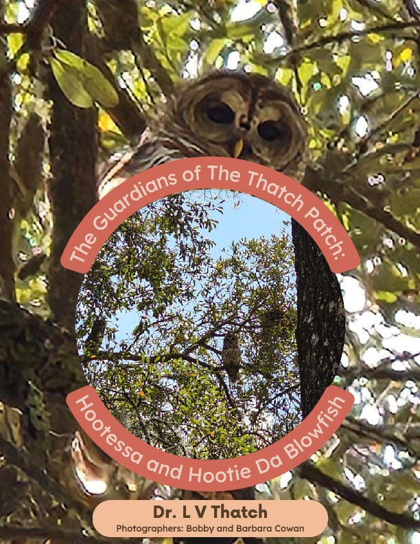 Whimsical Owl Adventure: A Mindful Companion Coloring Book for All Ages ...