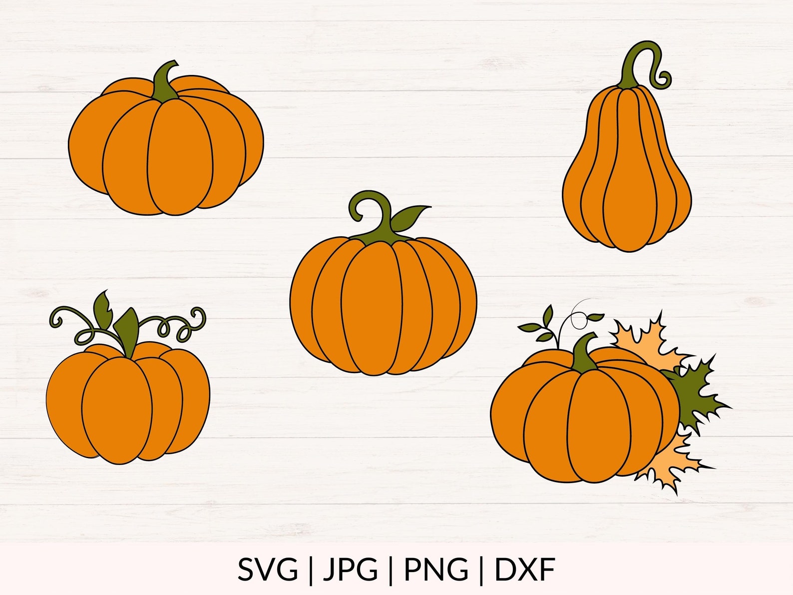 Pumpkin Svg, Png, Jpg, Dxf, Pumpkins Bundle, Fall Svg, Autumn Svg ...