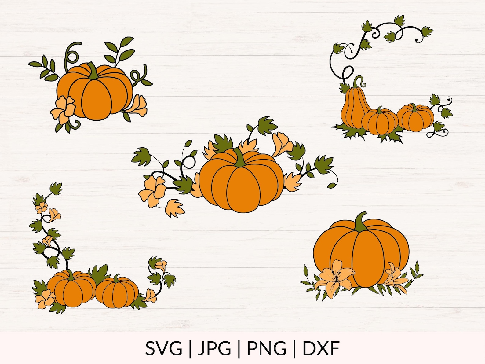 Pumpkin Svg, Png, Jpg, Dxf, Pumpkins Bundle, Fall Svg, Autumn Svg ...