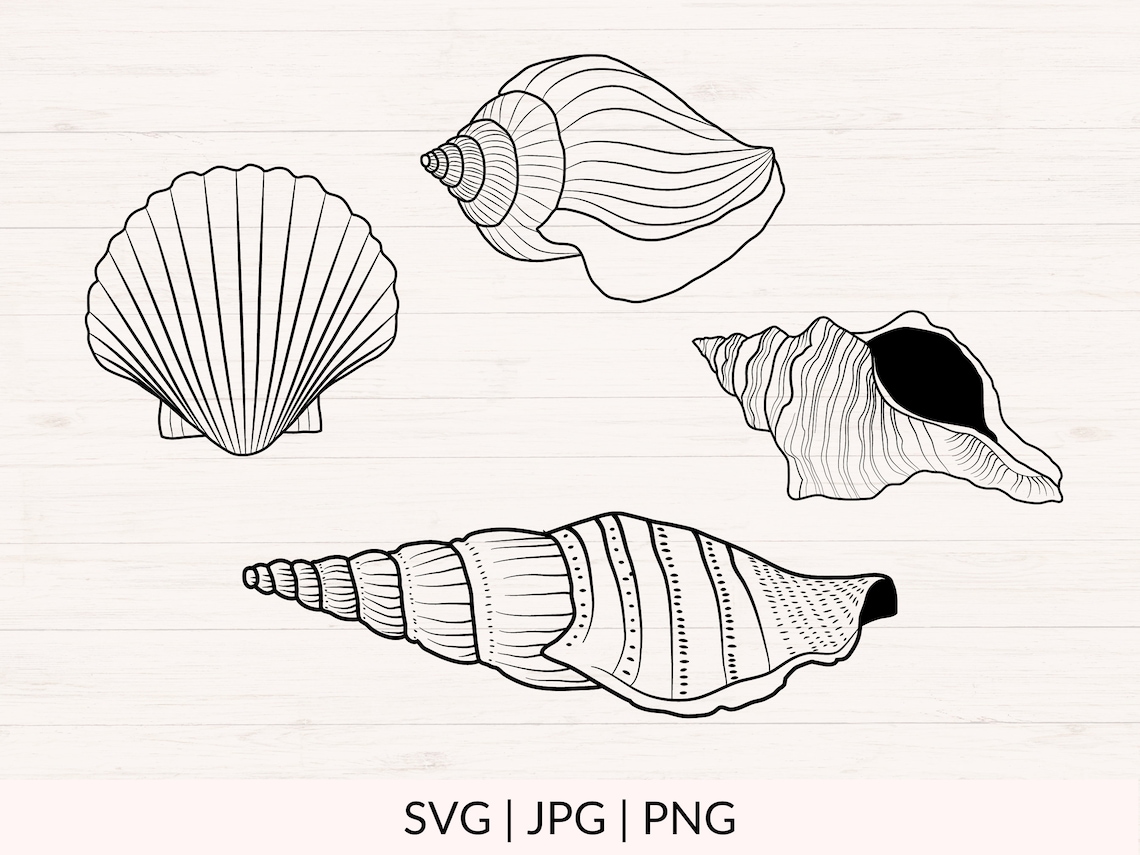 Seashells Svg Bundle Includes Png Jpg and Svg Shell Line - Etsy
