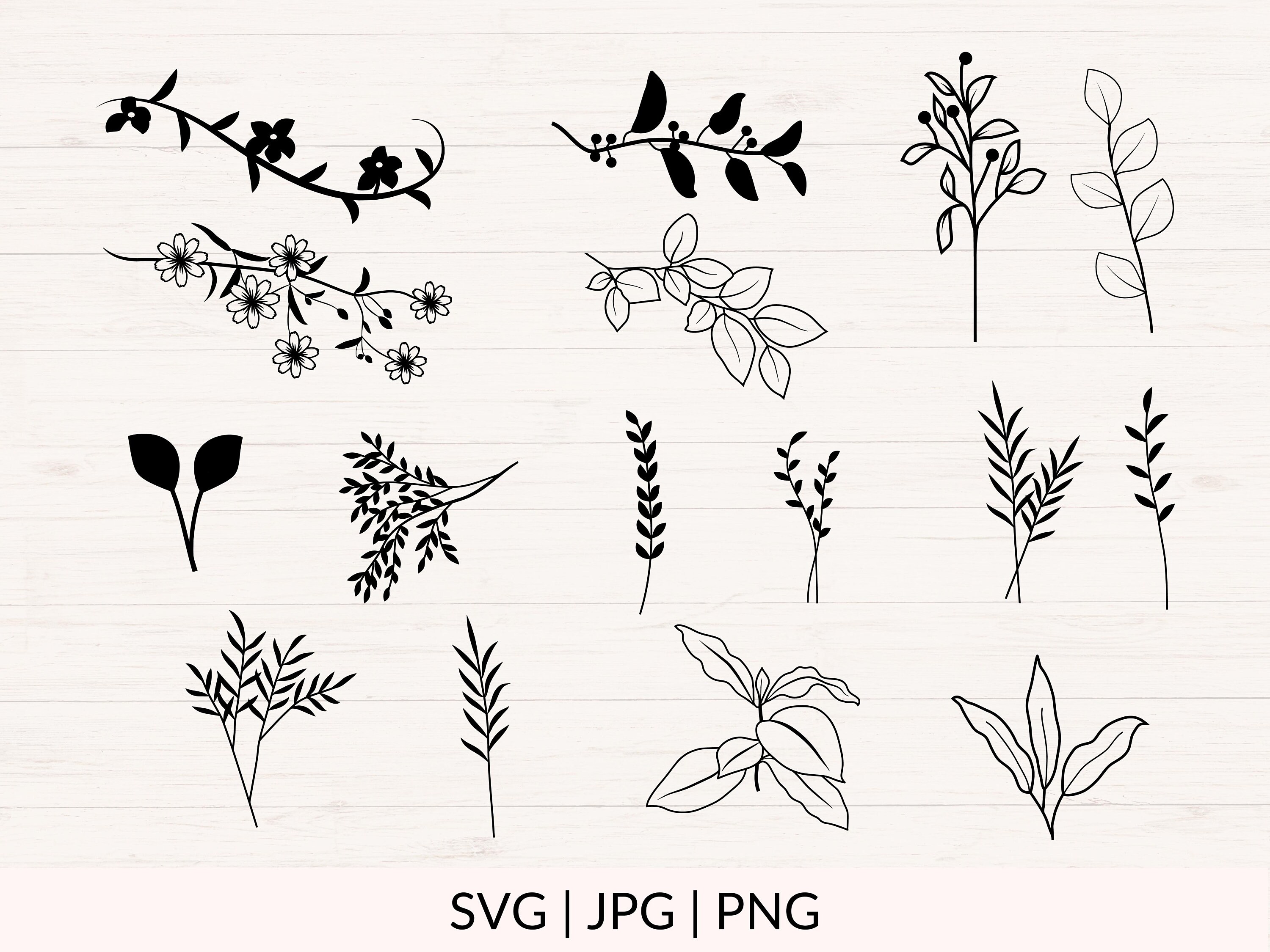 Leaves Svg, Jpg, Png, Leaves & Branches Svg, Botanical Elements Svg ...