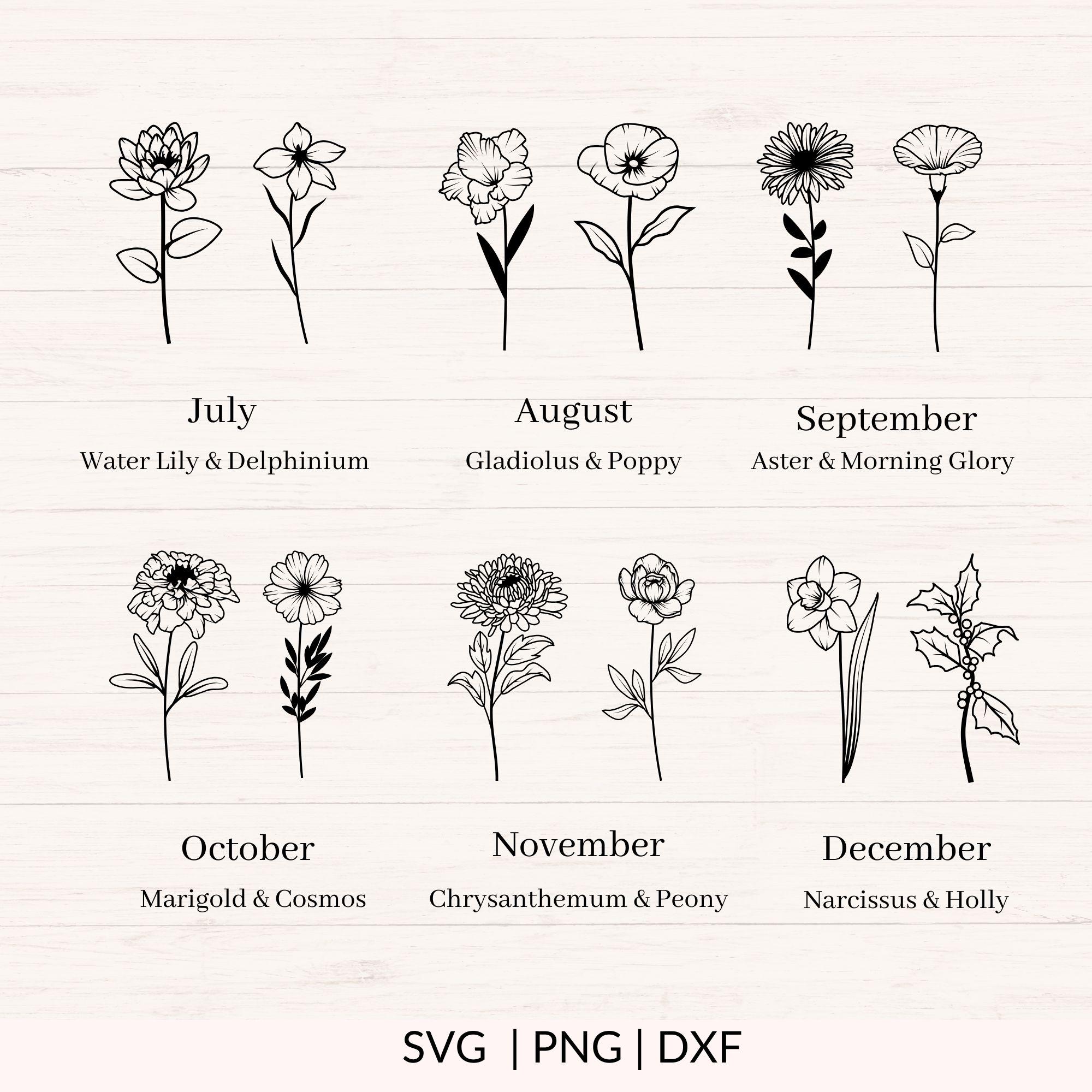 Birth Month Flowers SVG Bundle, 24 Hand Drawn Floral Designs, PNG DXF ...