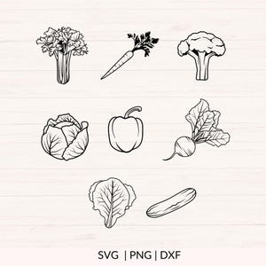 Vegetables Svg Bundle, Vegetable Svg, Png, Dxf, Hand Drawn Vector ...
