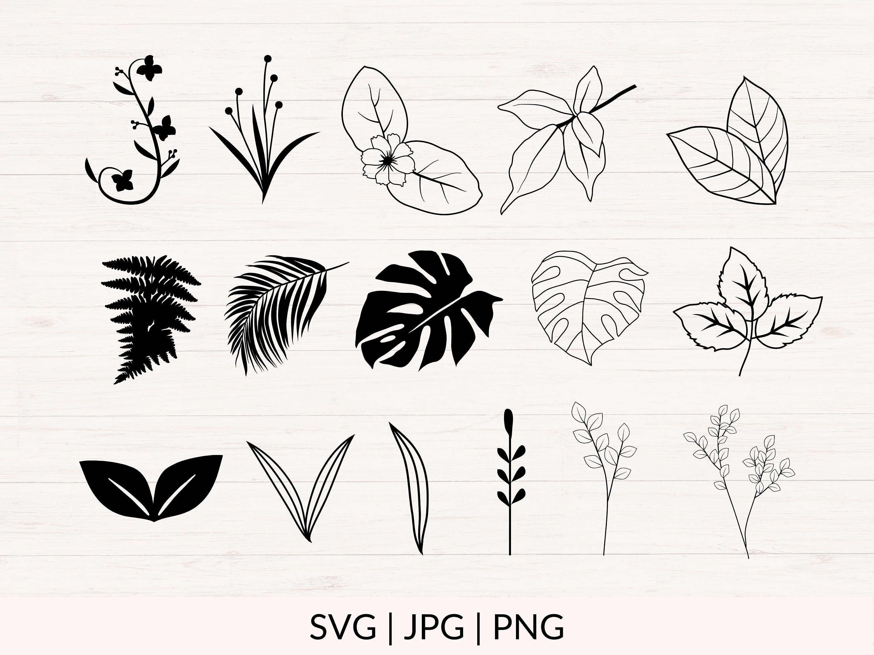 Leaves Svg, Jpg, Png, Leaves & Branches Svg, Botanical Elements Svg ...
