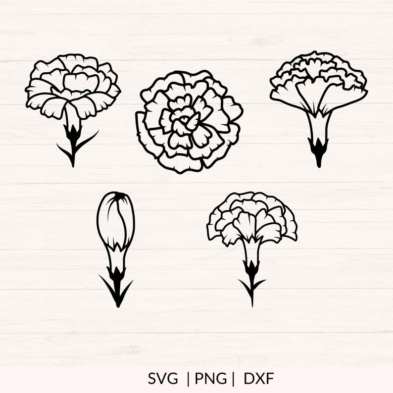 Carnation Svg Bundle, Carnations Svg, Carnation Bouquet Svg, January ...