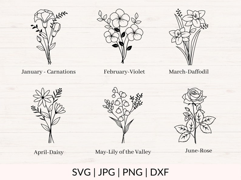 Birth Month Flowers Svg Jpg Png Dxf Birth Month Flower - Etsy Canada
