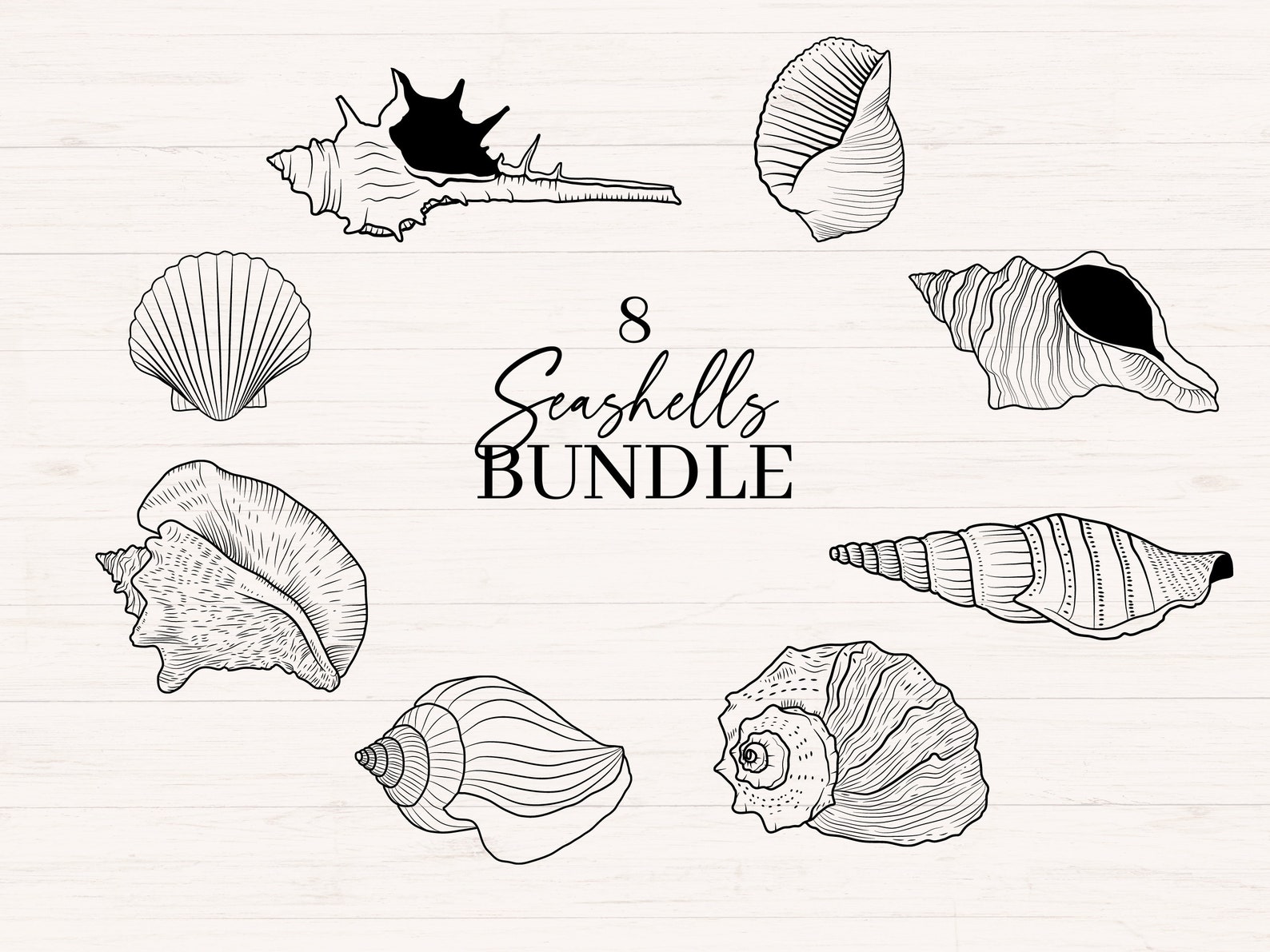 Seashells Svg Bundle Includes Png Jpg and Svg Shell Line - Etsy