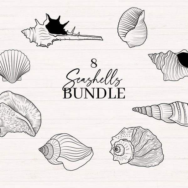 Seashells Svg - Etsy