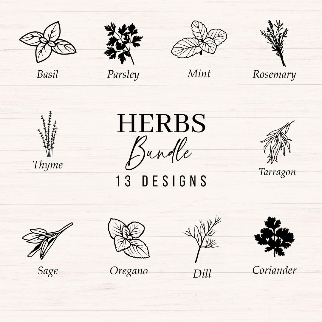 Herbs Svg Bundle, Spices Svg, Png, Dxf, Herbs and Spices Clipart ...