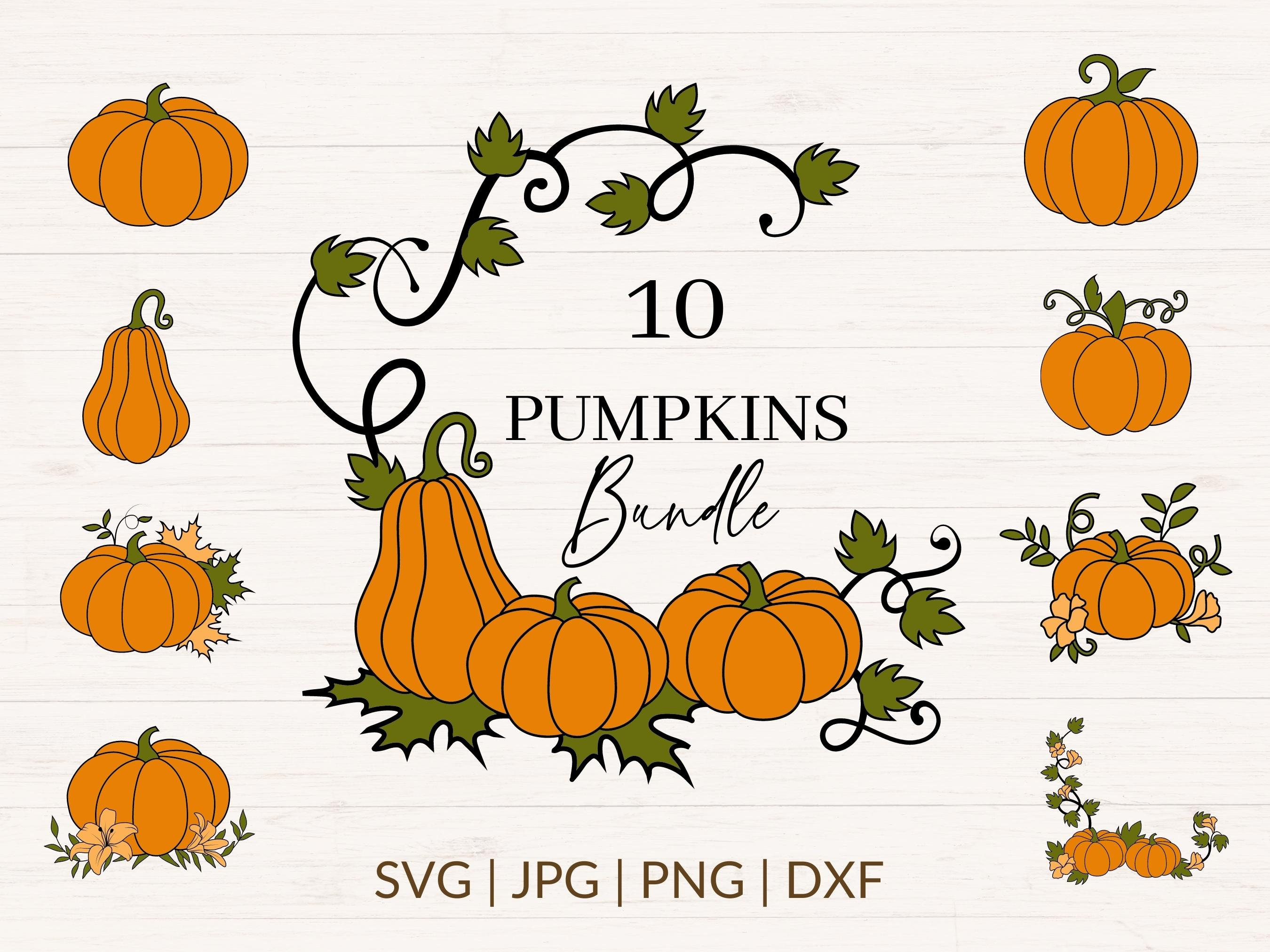 Pumpkin Svg, Png, Jpg, Dxf, Pumpkins Bundle, Fall Svg, Autumn Svg ...
