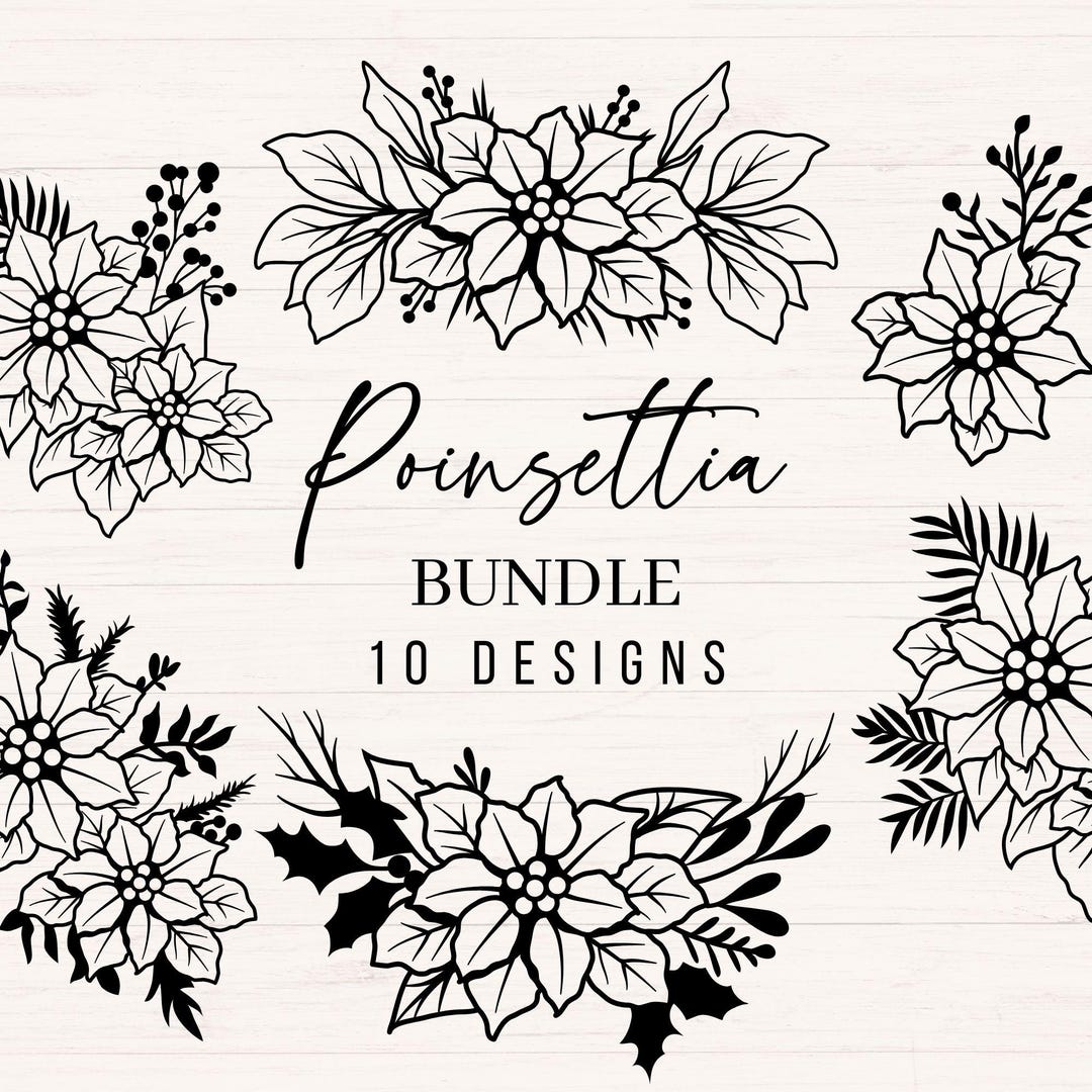 Poinsettia Svg Bundle, Poinsettia Svg, Png, Dxf, Christmas Flower ...