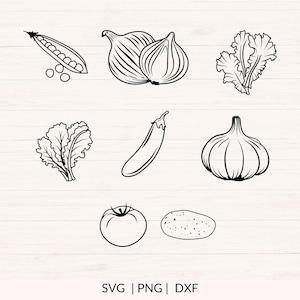 Vegetables Svg Bundle, Vegetable Svg, Png, Dxf, Hand Drawn Vector ...
