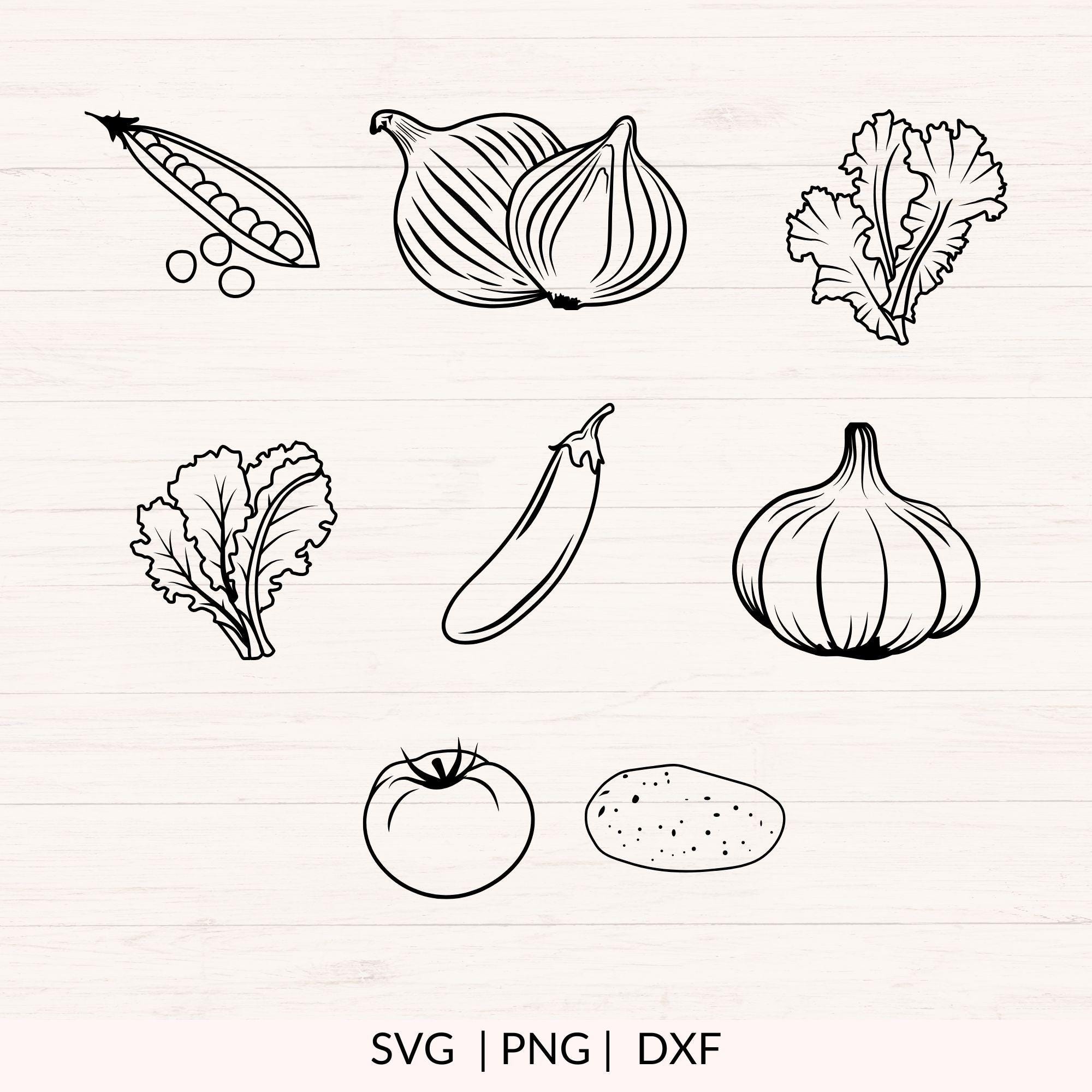 Vegetables Svg Bundle, Vegetable Svg, Png, Dxf, Hand Drawn Vector ...