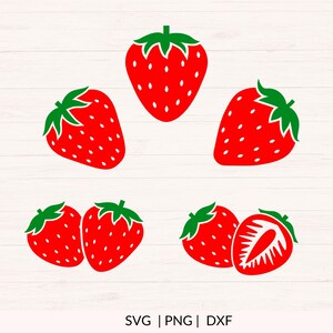 Strawberry Svg Bundle, Strawberries Svg, Png, Dxf, Strawberry Vector ...