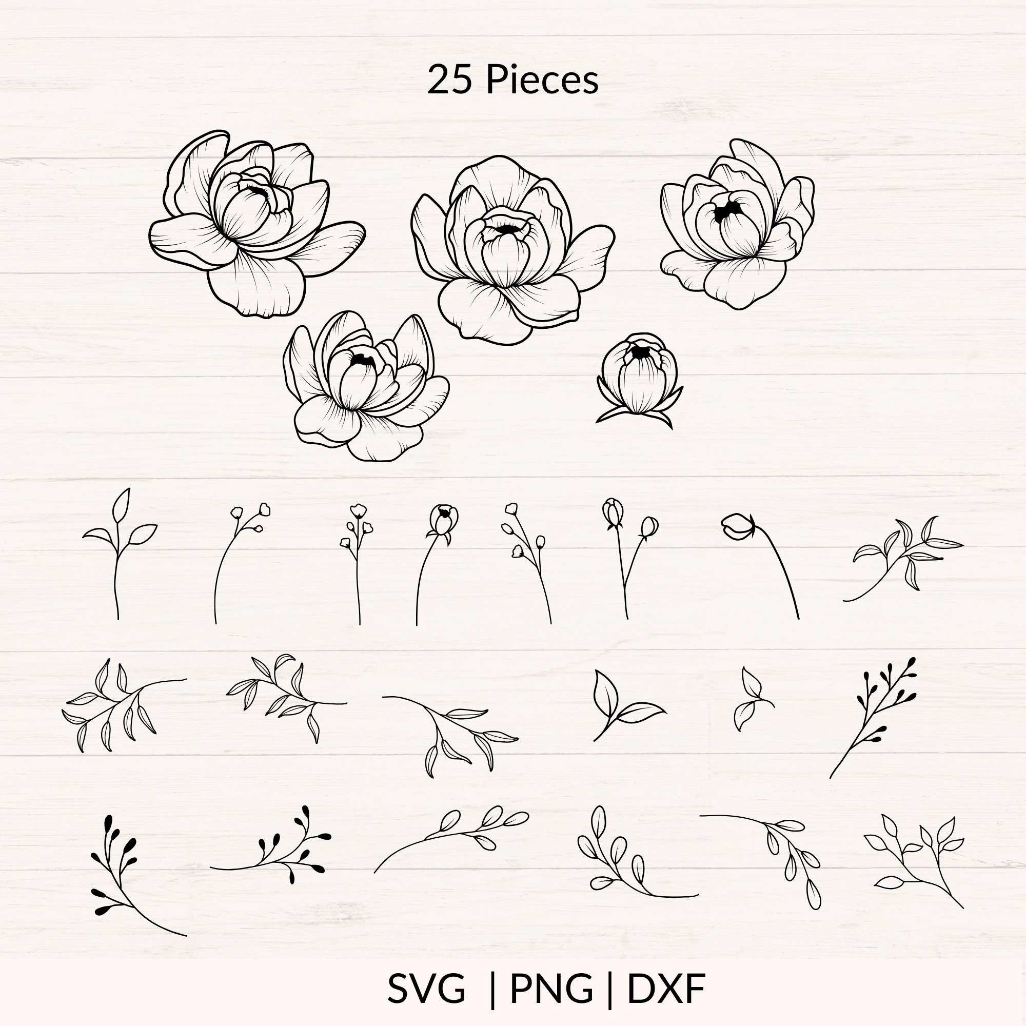 Peonies Svg Bundle, Peony Svg, Peonies Bouquet Svg, Floral Arrangement ...