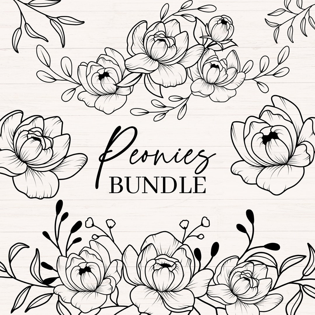 Peonies Svg Bundle, Peony Svg, Peonies Bouquet Svg, Floral Arrangement ...