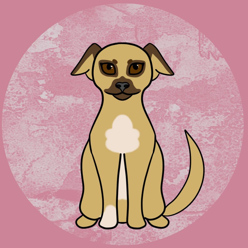 Animal Adoptables Custom and Mystery - Etsy