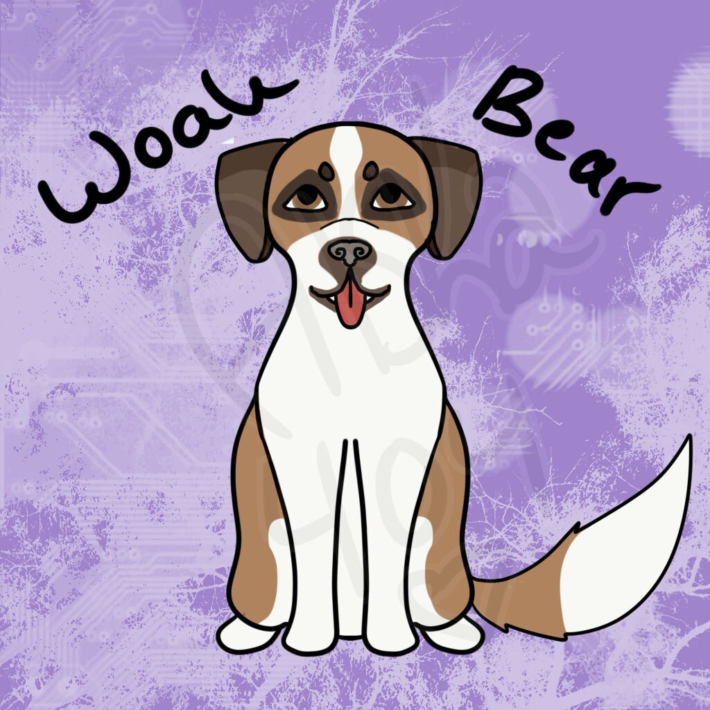 Animal Adoptables Custom and Mystery - Etsy