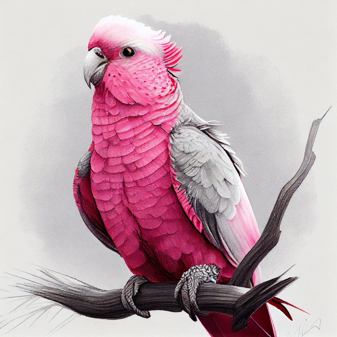 Captivating Australian Galah Digital Print - Instant Download Wall Art ...
