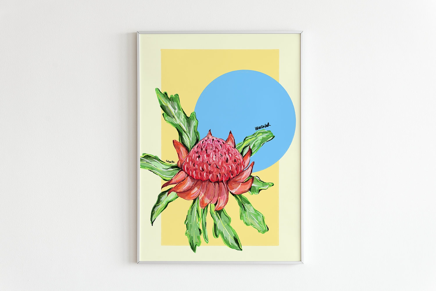 Waratah Native Australian Flower Prints Artwork Original Hand Painted ...