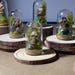 Tiny Glass Skull Displays - Etsy