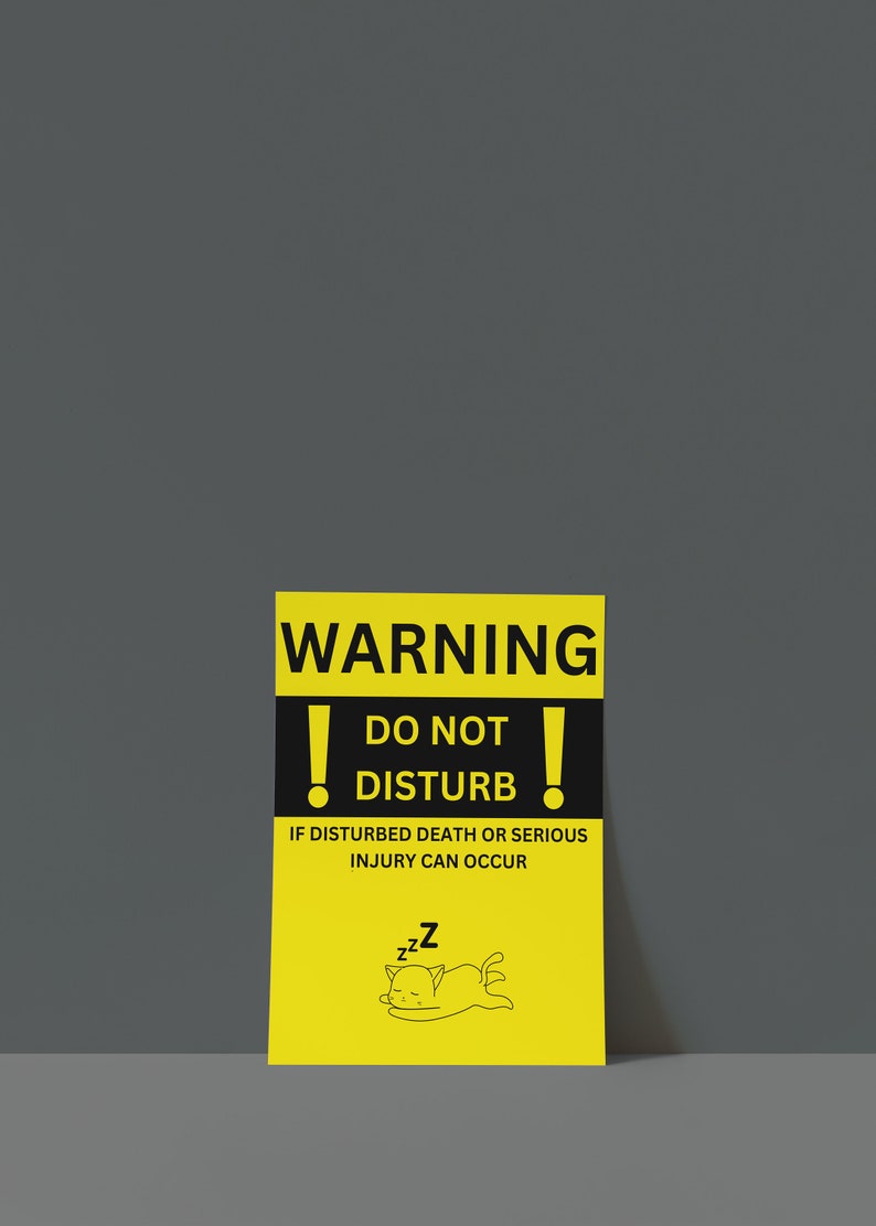 Do Not Disturb Poster - Etsy