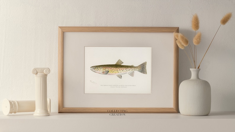 Vintage North American Fish Print Collection, Digital Download Bundle ...