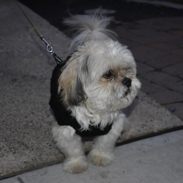 Wool Dog Sweater - Etsy