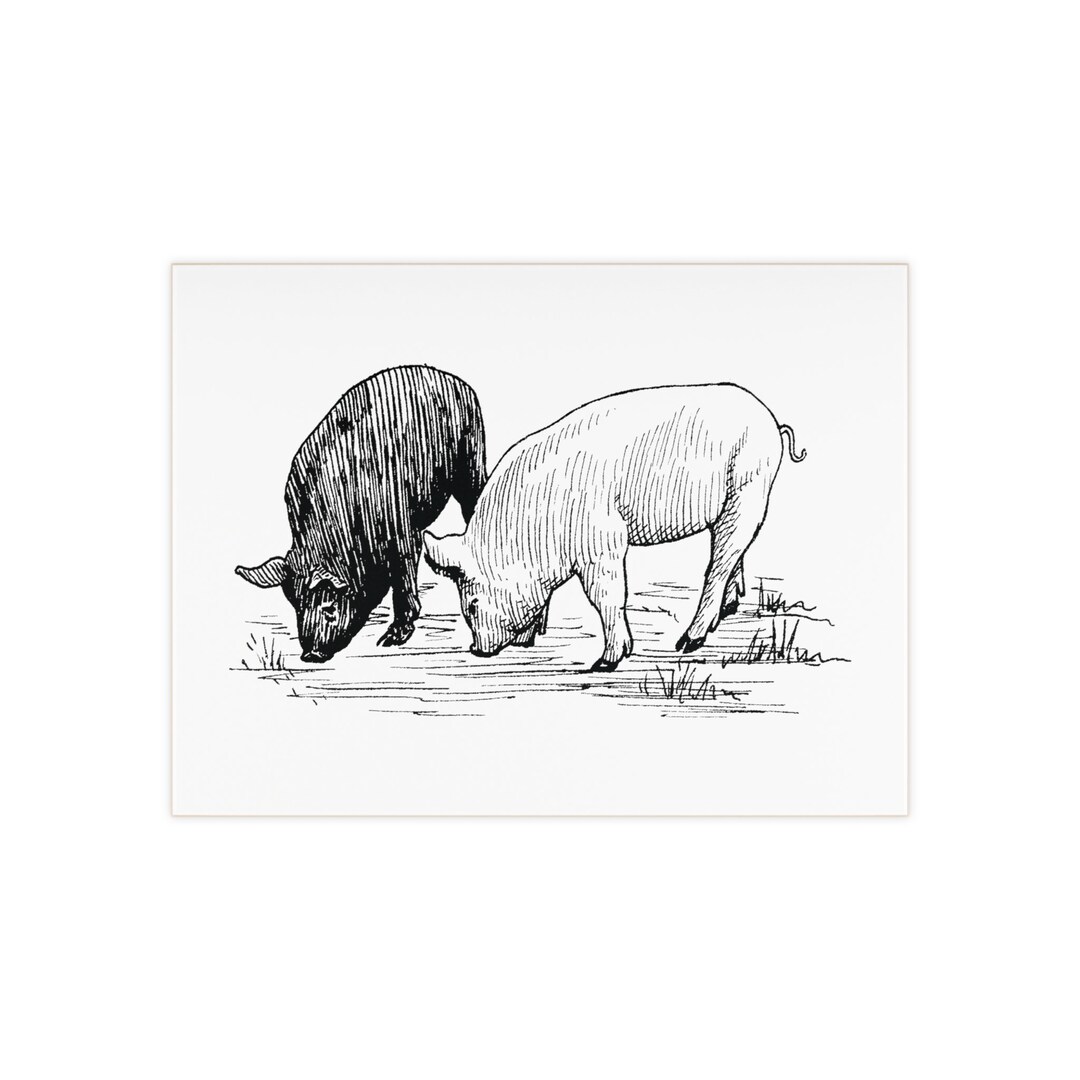 Pigs - Ceramic Photo Tile - Etsy