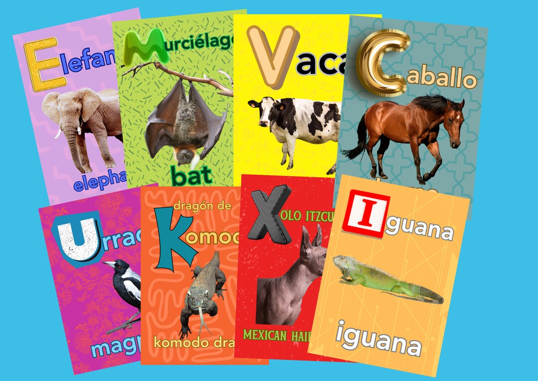 BILINGUAL ANIMAL Flash Cards With Real Photo Images of Animals in ...