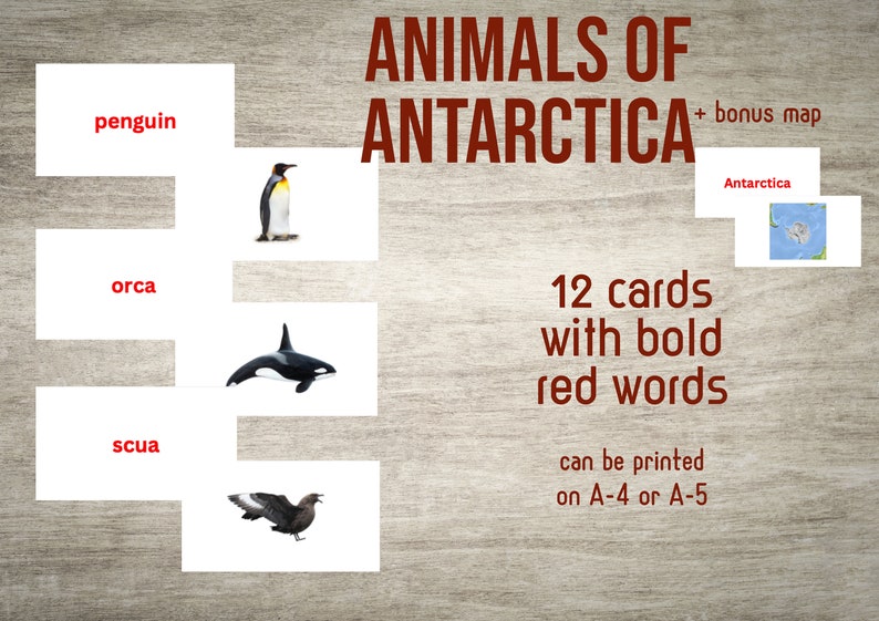 Animals and Map of Antarctica Flash Cards(pdf) - Etsy