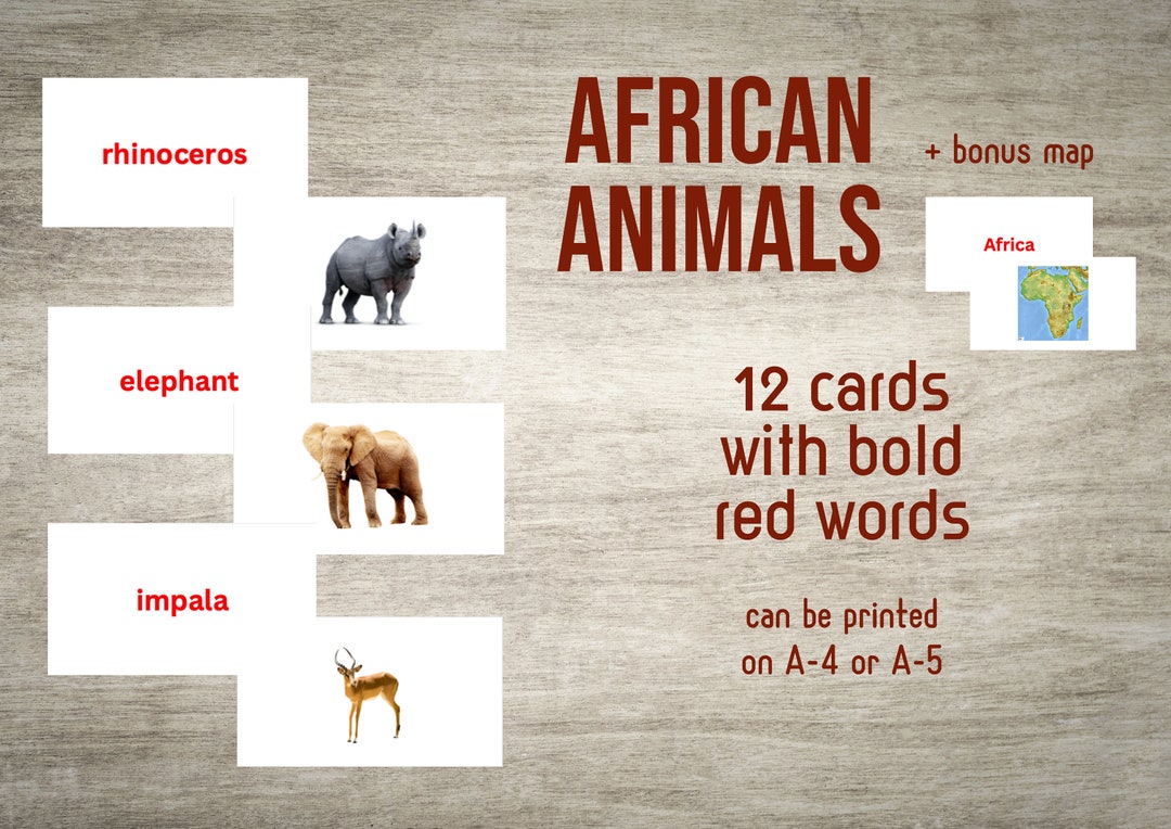 Animals and Map of Africa Flash Cards - Etsy
