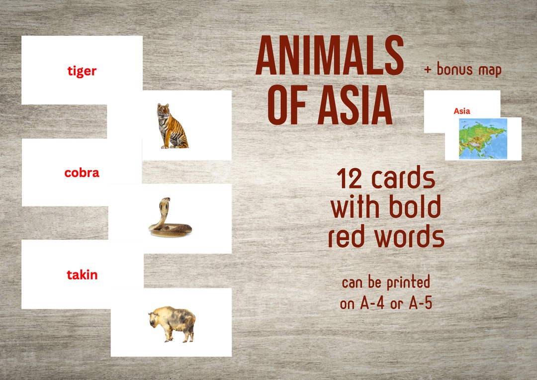 Animals and Map of Asia Flash Cards(pdf) - Etsy