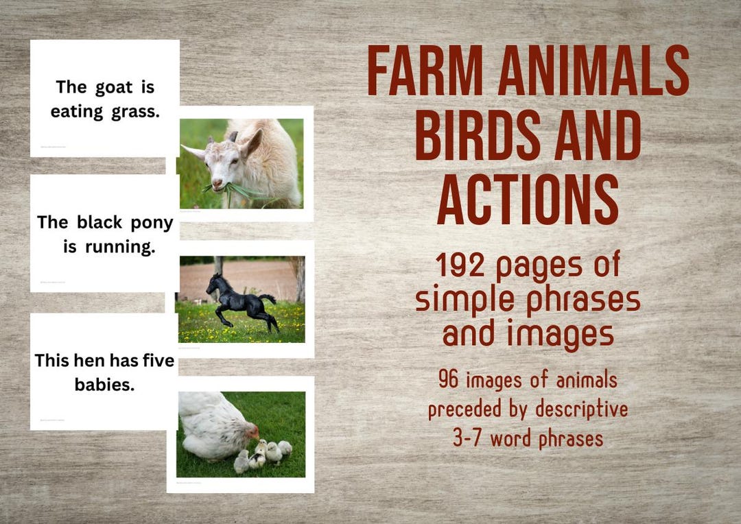 Farm Animals Birds and Actions Phrases - Etsy