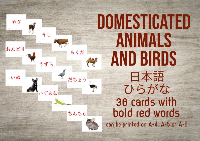Japanese Hiragana Domesticated Animals and Birds Flash Cards(pdf) - Etsy