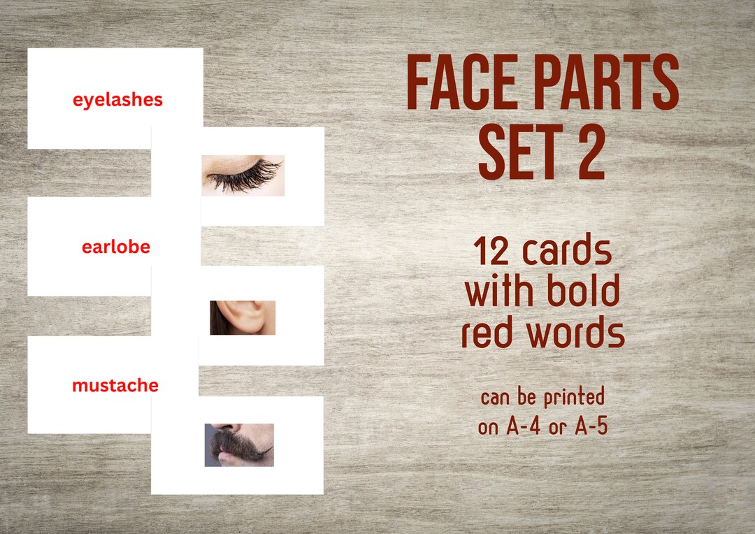 Human Face Parts Flash Cards - Set 2(PDF) - Etsy